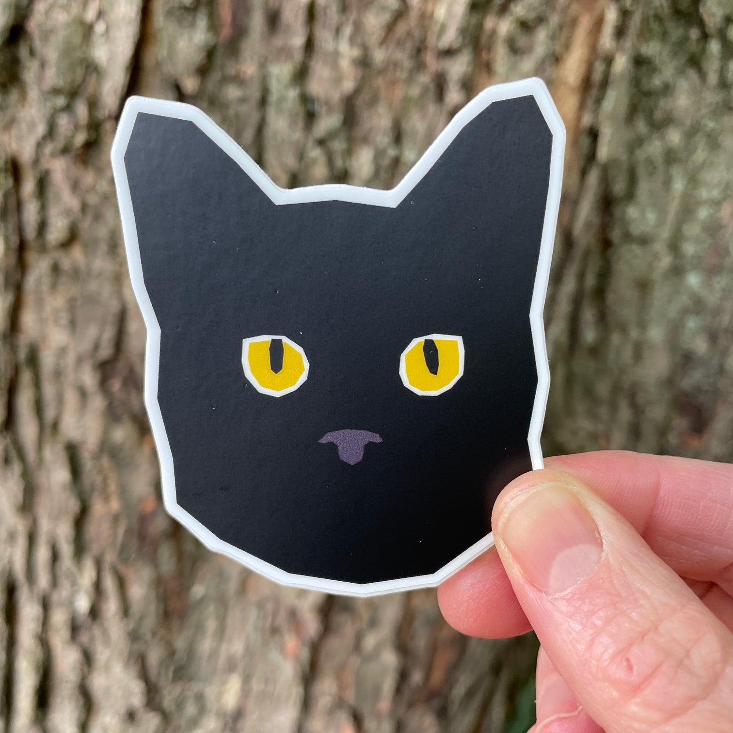 Products – Susan Stone